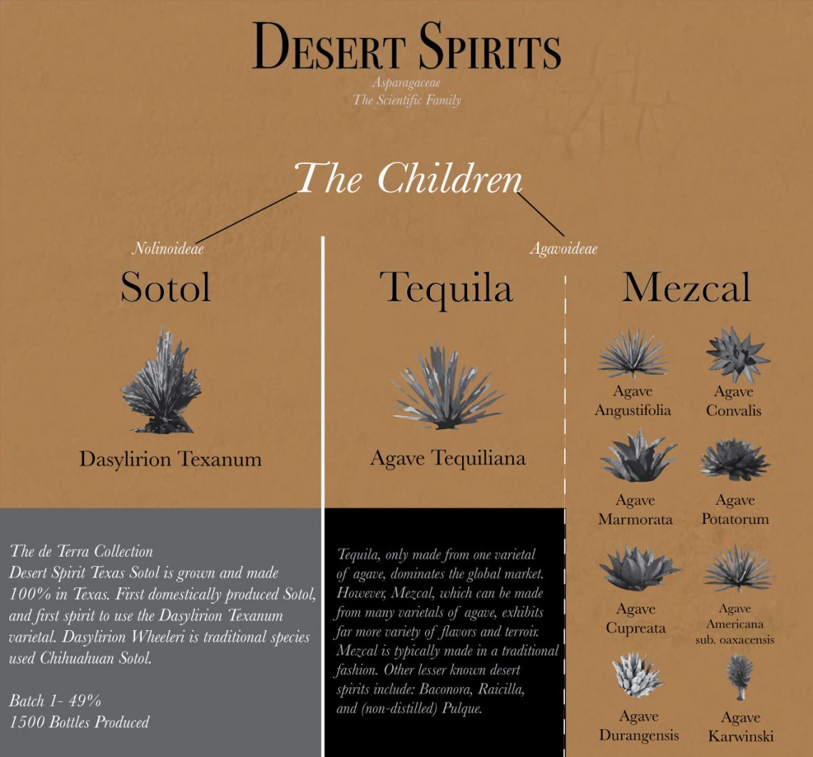 The Desert Spirits – Show de Vie w/Mike G Podcast